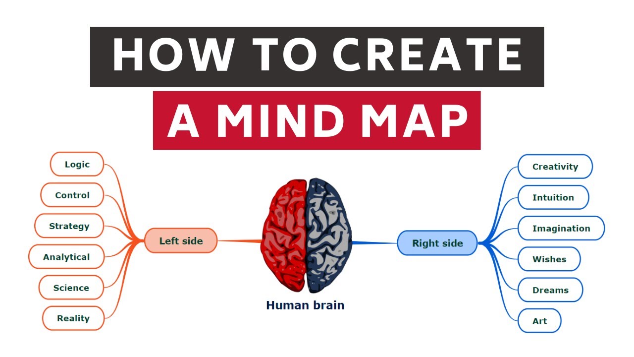 7 Tahapan Cara Membuat Mind Mapping Mudah Dan Efektif